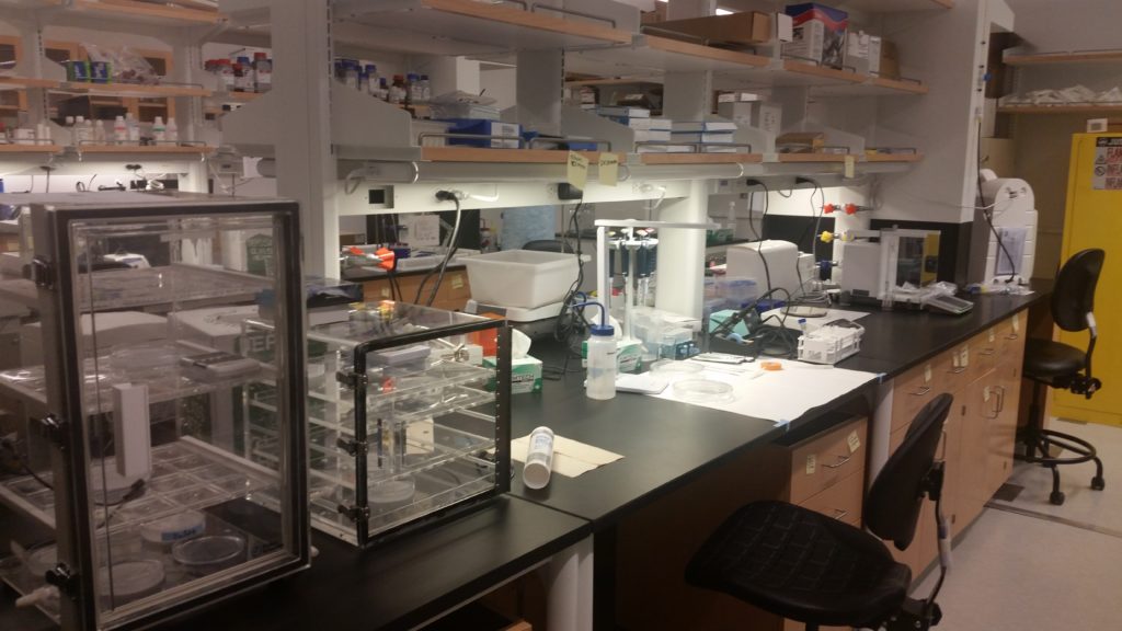 Wet Lab Facility – The Cotten Lab
